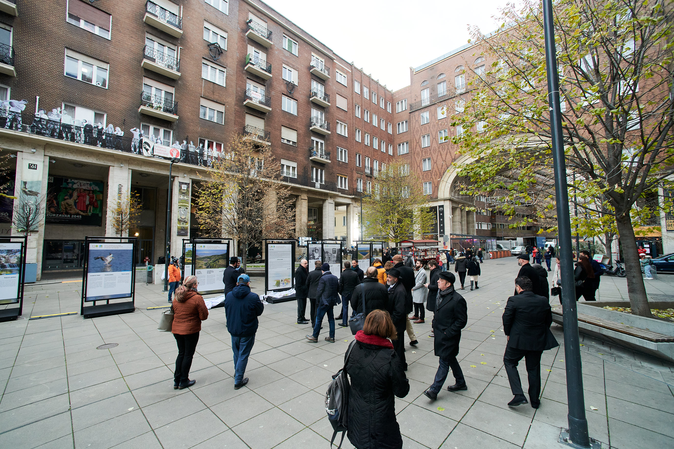 Keren Kayemeth LeIsrael - KKL-JNF - Green Israel News - The Success ...