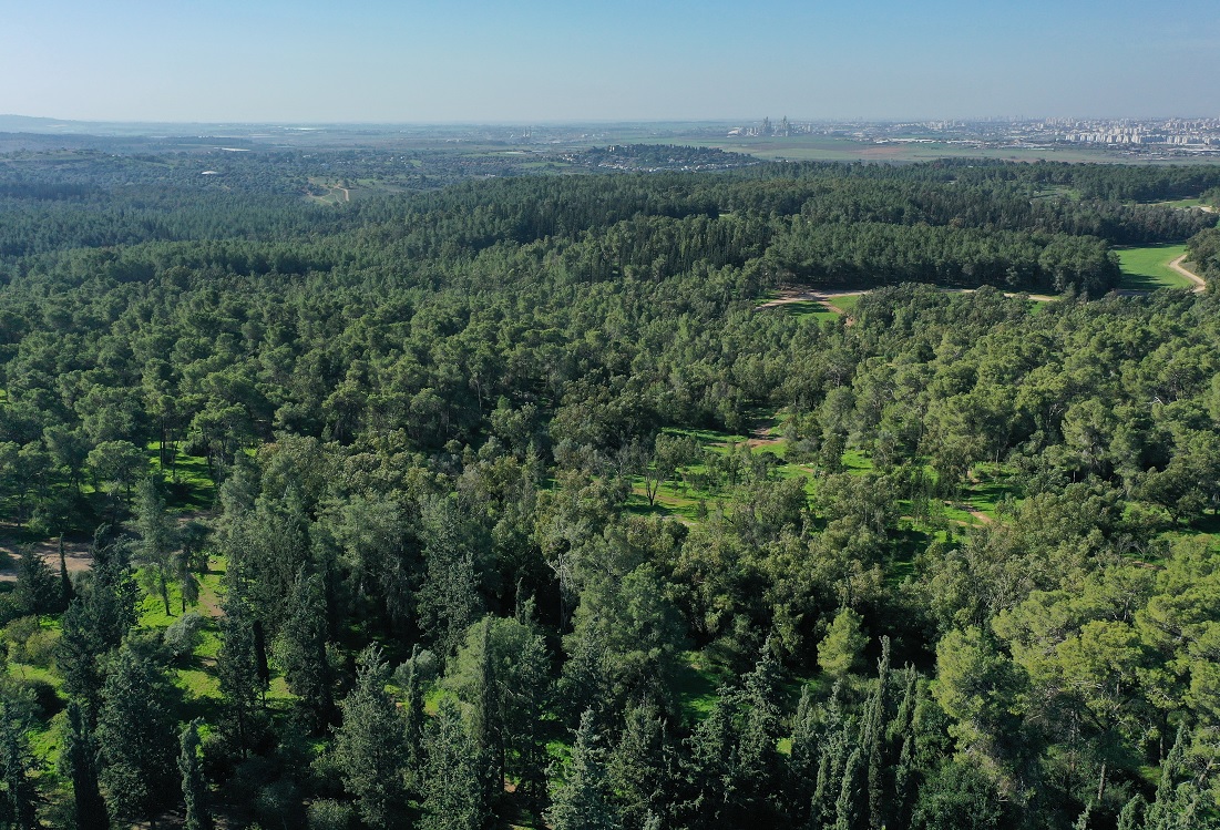 Keren Kayemeth LeIsrael - KKL-JNF - "Getting Even Better with Time ...