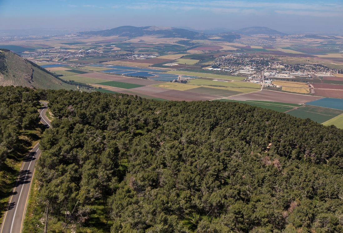 Keren Kayemeth LeIsrael - KKL-JNF - "Getting Even Better with Time ...