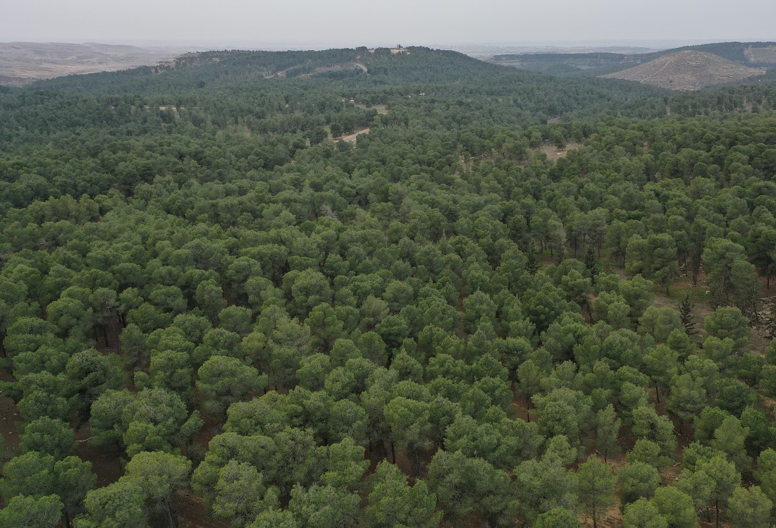Keren Kayemeth LeIsrael - KKL-JNF - "Getting Even Better with Time ...
