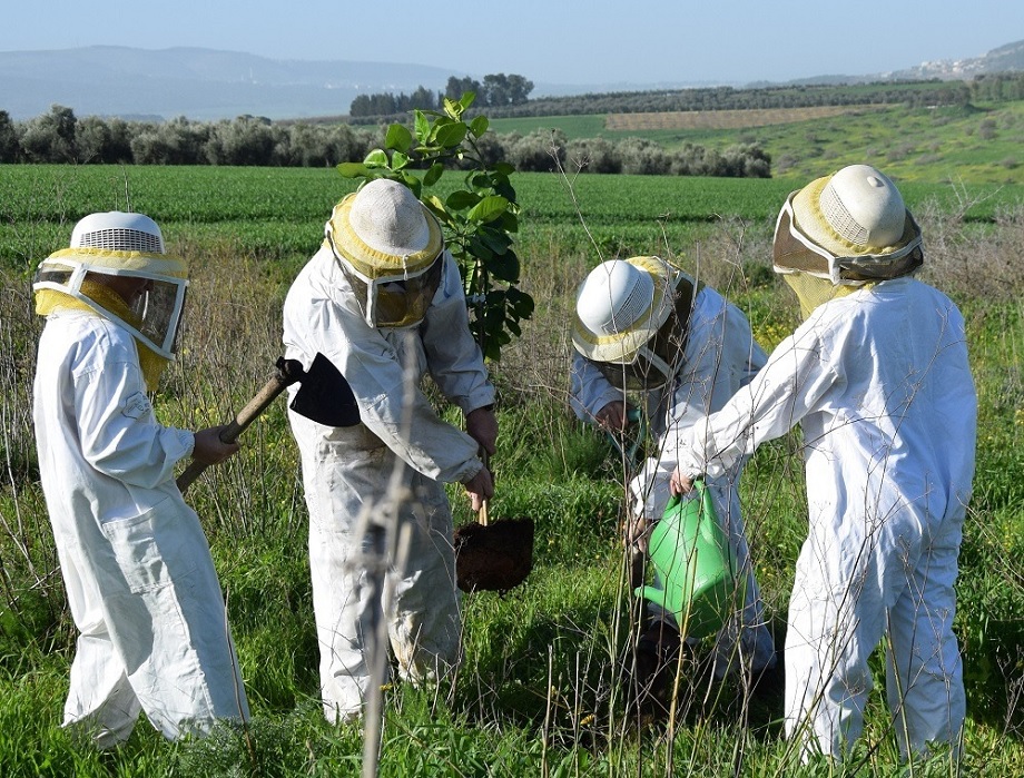 Keren Kayemeth LeIsrael - KKL-JNF - In Celebration of Tu BiShvat: KKL ...