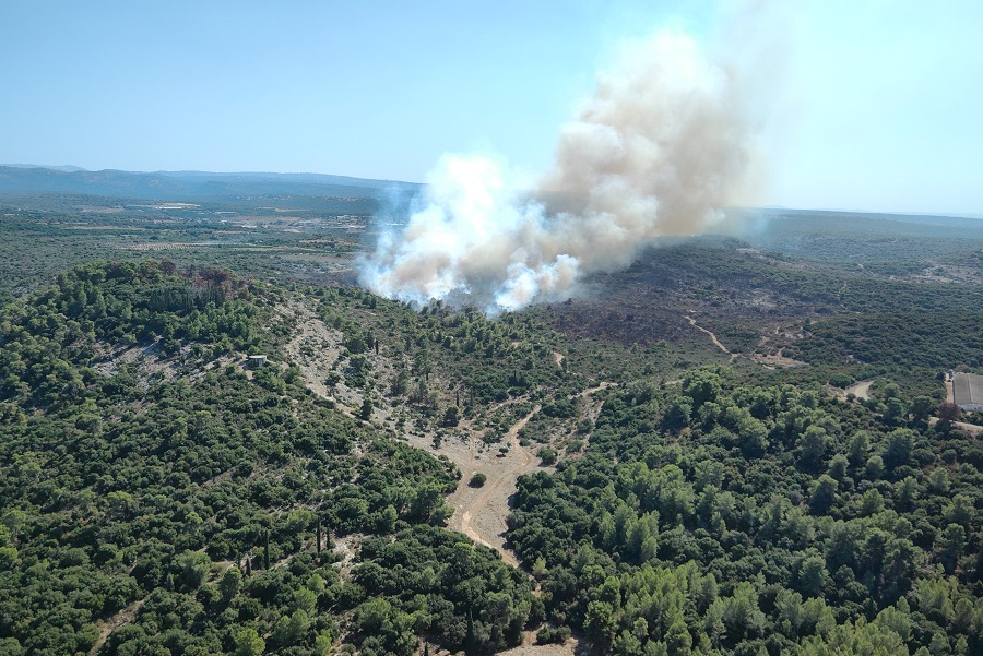 Keren Kayemeth LeIsrael - KKL-JNF - The North is on Fire: About 230 ...