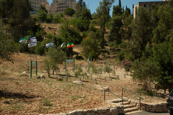 Keren Kayemeth LeIsrael - KKL-JNF - Ethiopian PM Plants Tree in ...