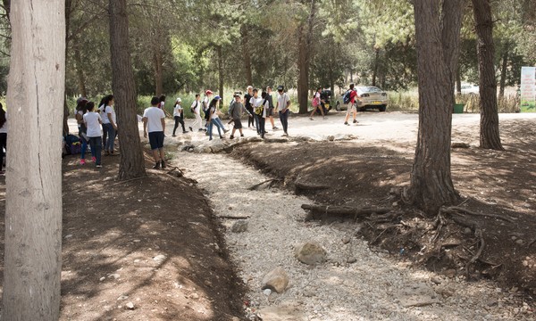 Keren Kayemeth LeIsrael - KKL-JNF - Earth Day in Rosh HaAyin Community ...