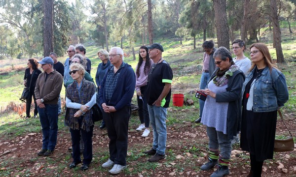 Keren Kayemeth LeIsrael - KKL-JNF - Olive Trees Planted for the 11 ...