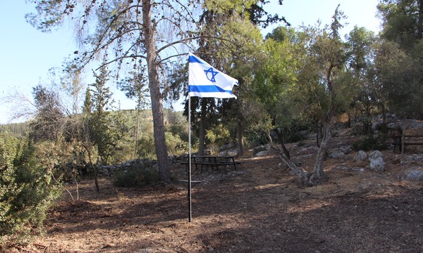 Keren Kayemeth LeIsrael - KKL-JNF - The Man who Shaped the Forests that ...