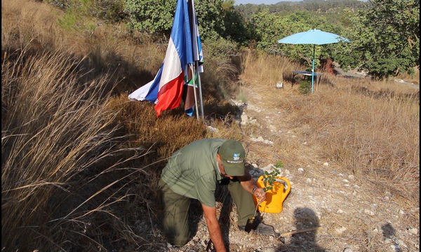 Keren Kayemeth LeIsrael - KKL-JNF - KKL France President Plants a Tree ...