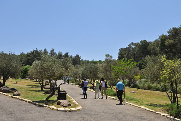 Keren Kayemeth LeIsrael - KKL-JNF - Rabin Park at the Migdal HaEmek ...