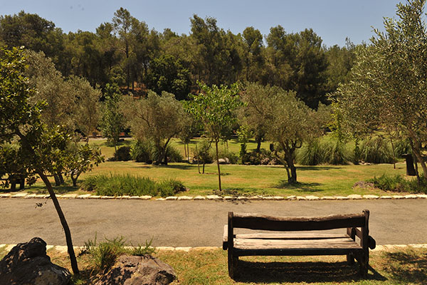 Keren Kayemeth LeIsrael - KKL-JNF - Rabin Park at the Migdal HaEmek ...
