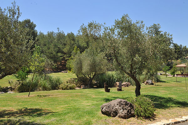 Keren Kayemeth LeIsrael - KKL-JNF - Rabin Park at the Migdal HaEmek ...