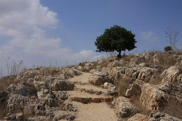 Mount of Precipice, a Lookout over the Galilee - Keren Kayemeth ...