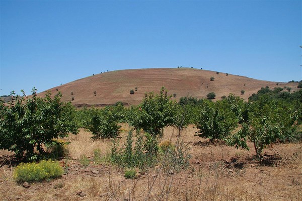 Odem Forest – an Excursion - Keren Kayemeth LeIsrael - KKL-JNF