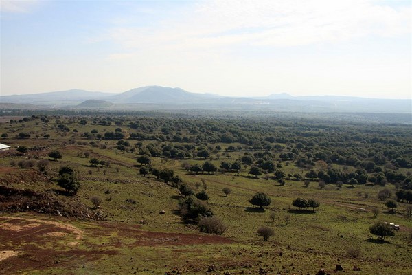 Odem Forest – an Excursion - Keren Kayemeth LeIsrael - KKL-JNF