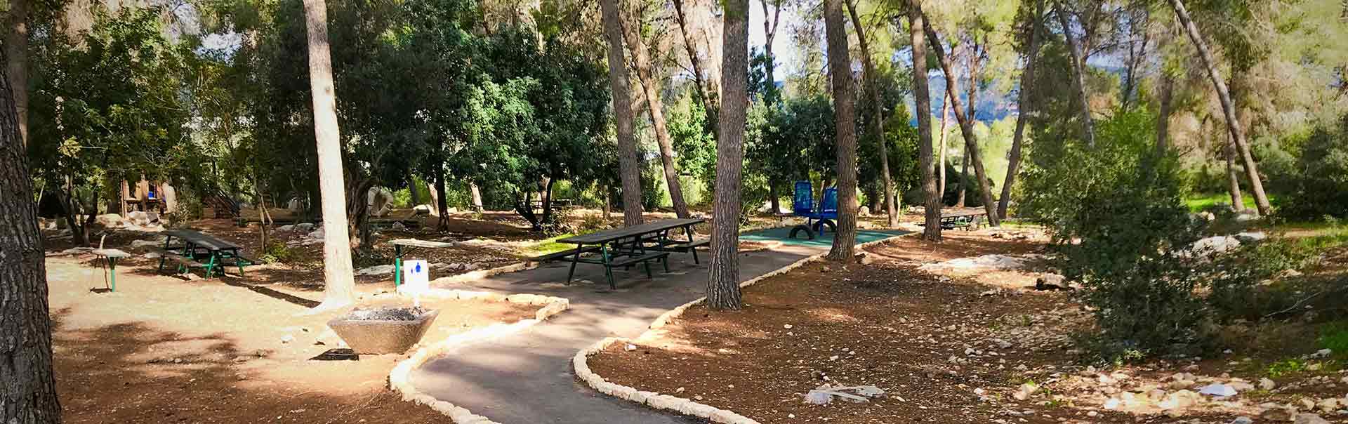 Accessible Forests, Parks and Sites in Israel - Keren Kayemeth LeIsrael ...