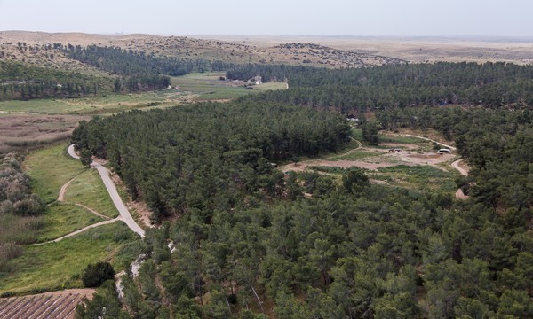 Keren Kayemeth LeIsrael - KKL-JNF - One forest becomes 240 million trees