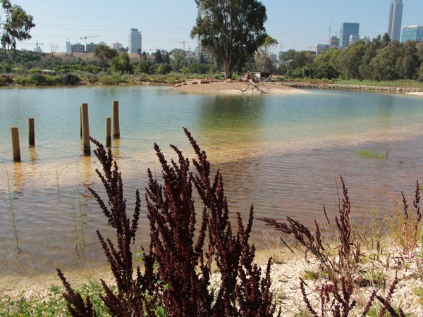 Keren Kayemeth LeIsrael - KKL-JNF - 116 Years of KKL-JNF, 70 Years of a ...