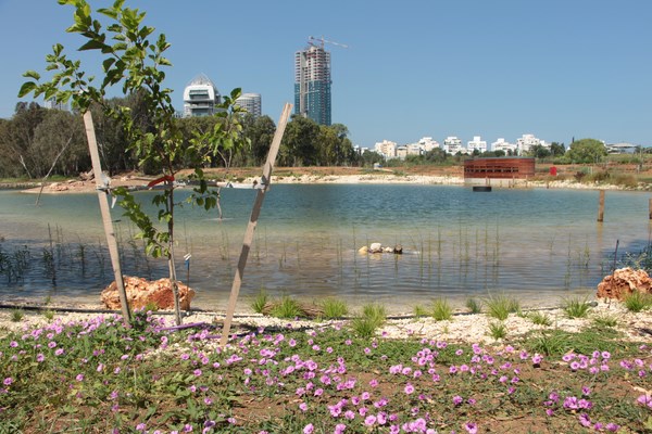 Keren Kayemeth LeIsrael - KKL-JNF - 116 Years of KKL-JNF, 70 Years of a ...