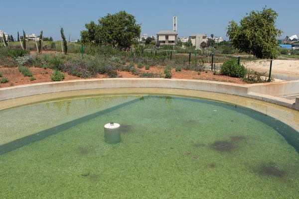 Keren Kayemeth LeIsrael - KKL-JNF - 116 Years of KKL-JNF, 70 Years of a ...