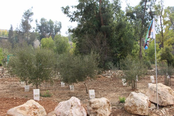 Keren Kayemeth LeIsrael - KKL-JNF - 116 Years of KKL-JNF, 70 Years of a ...