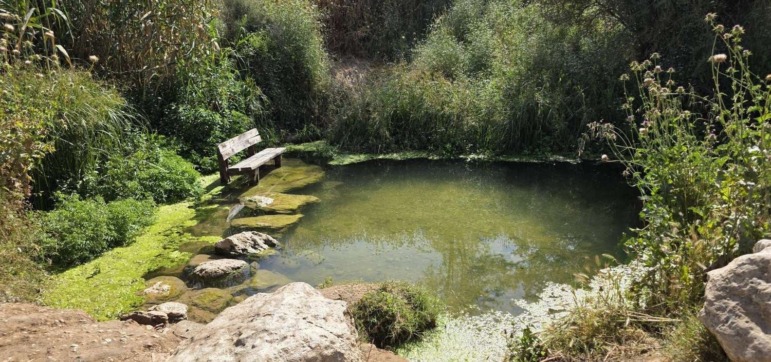 KKL JNF | JNF Israel | Forests, parks and sites | JNF donation | Home page