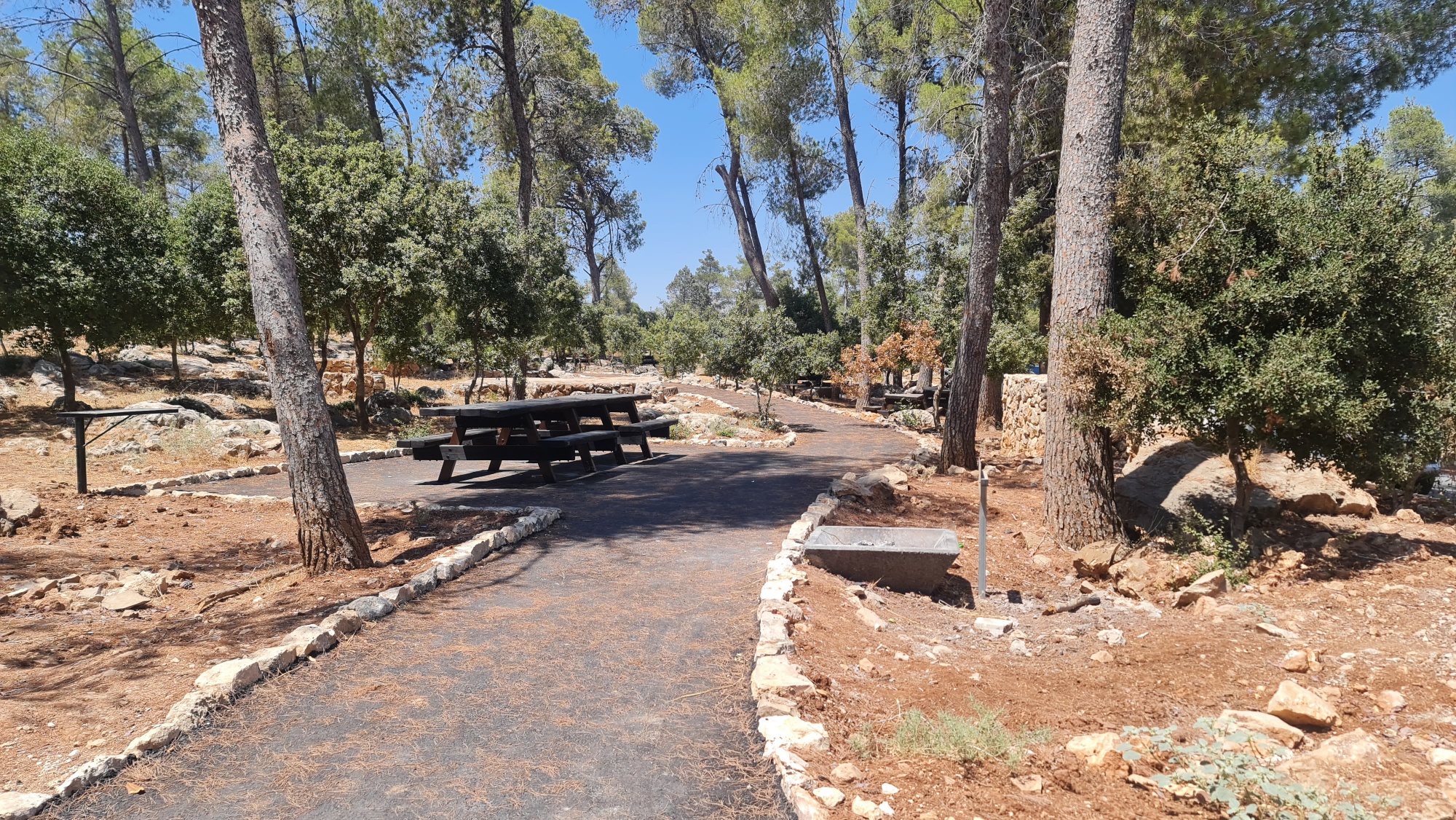 JNF Israel | Forests, parks and sites | JNF donation