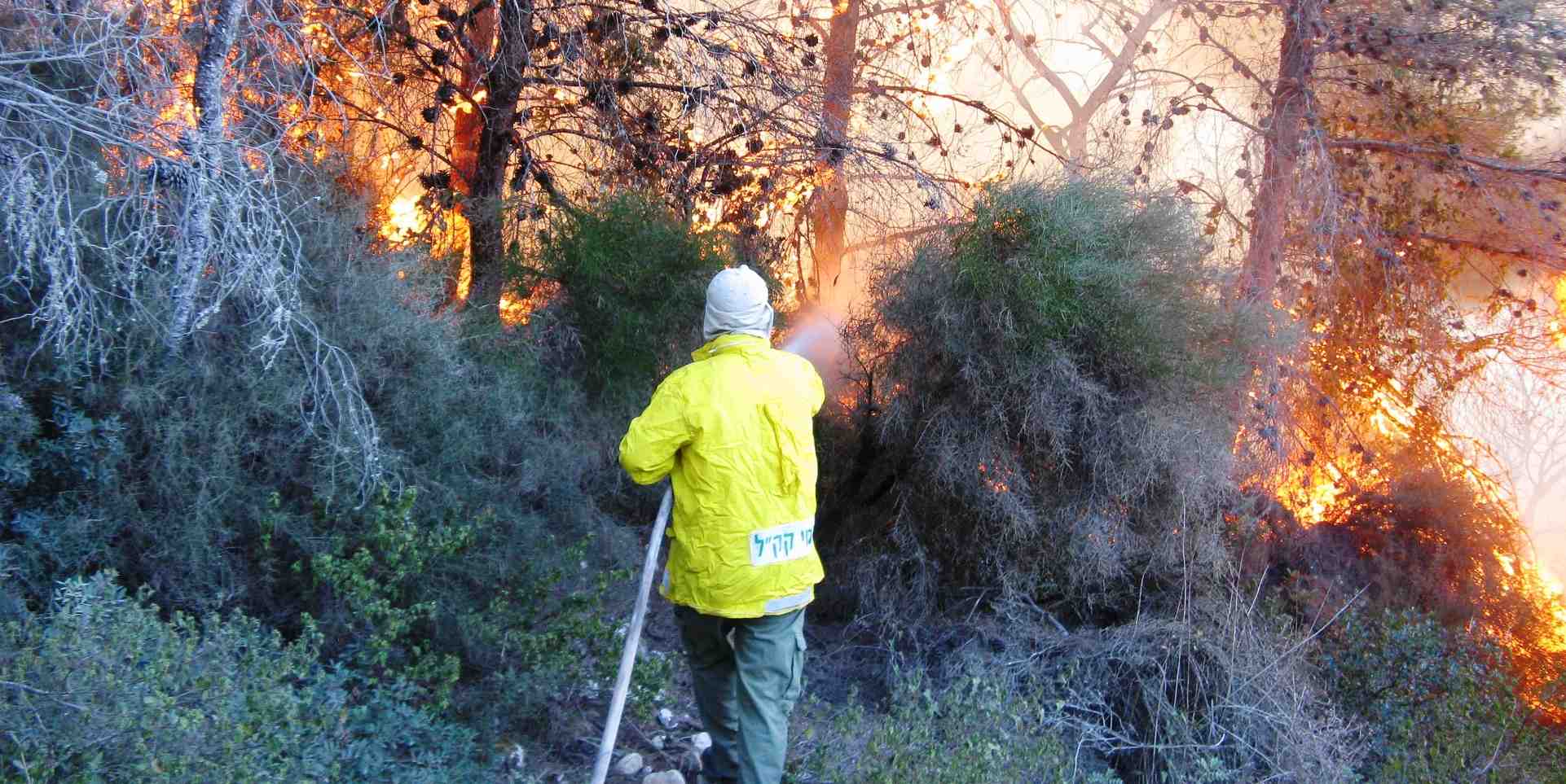 KKL JNF | JNF Israel | Forests, parks and sites | JNF donation