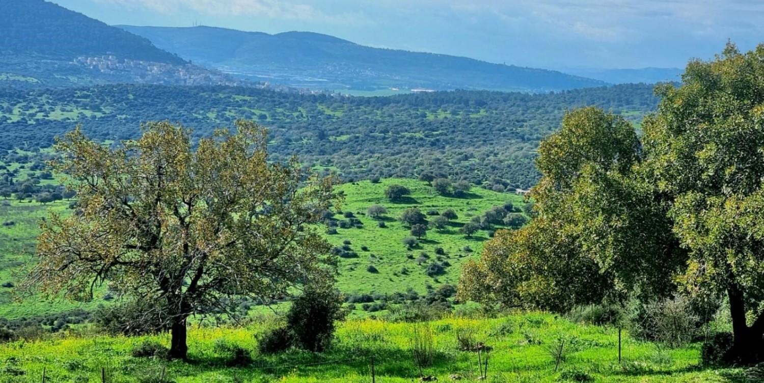 KKL JNF | JNF Israel | Forests, parks and sites | JNF donation