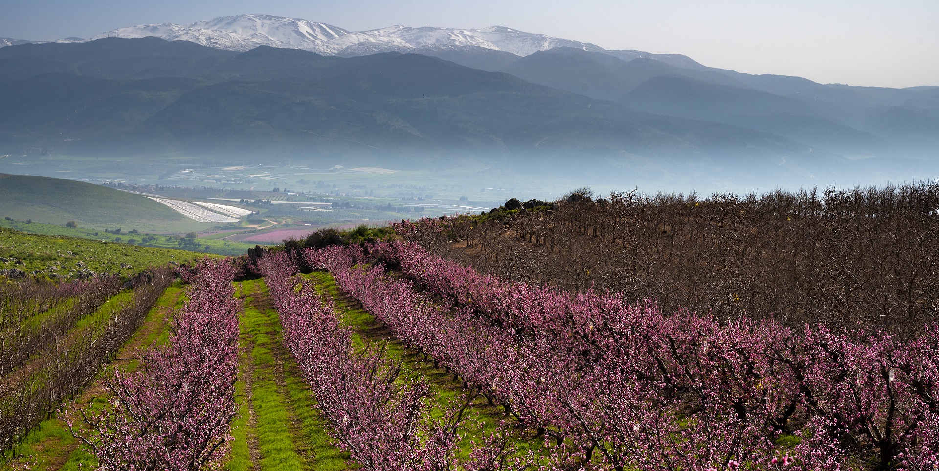 Home Page - Keren Kayemeth LeIsrael - KKL-JNF