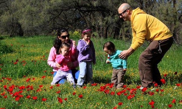 Darom Adom (Scarlet South) Festival - Keren Kayemeth LeIsrael - KKL-JNF