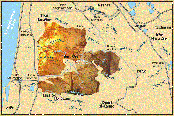Carmel Restoration - Keren Kayemeth LeIsrael - KKL-JNF