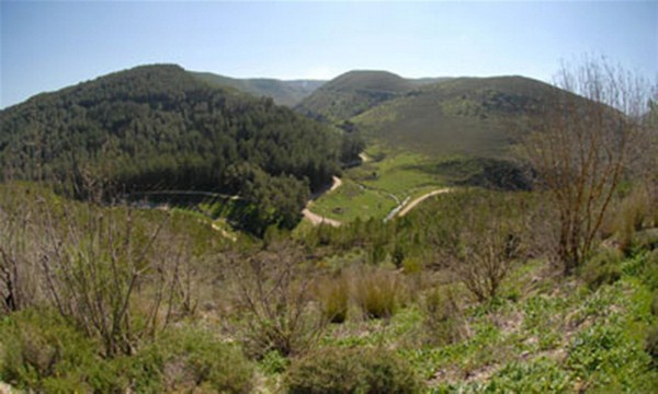 The Ancient Baram synagogue. Photo: Yaakov Shkolnik Baram forest. Photo ...