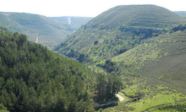 Baram Forest. Photo: Yaakov Shkolnik Lea and Itzhak Rabin Recreation ...