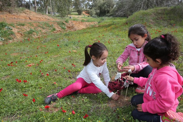 Scarlet south festival. Photo: Yossi Zamir Scarlet south festival ...