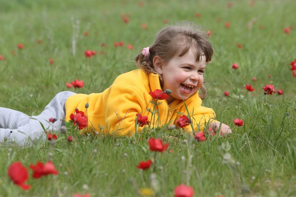 Scarlet south festival. Photo: Yossi Zamir Scarlet south festival ...