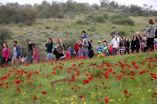 Scarlet south festival. Photo: Yossi Zamir Scarlet south festival ...