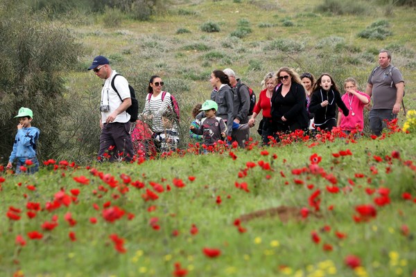 Scarlet south festival. Photo: Yossi Zamir Scarlet south festival ...