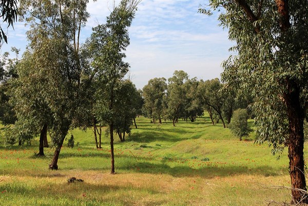 Entrance to Beeri forest, the Water Facilities Route. Photo: Yaakov ...