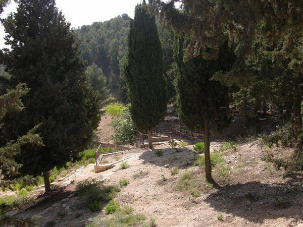 Biriya Forest - Magic & Mysticism in the Upper Galilee, KKL- JNF