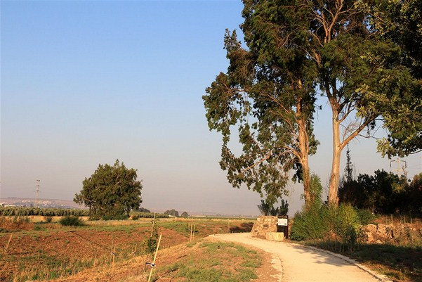 Harod river park. Photo: Yaakov Shkolnik