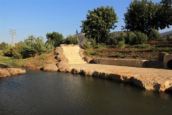 Harod river. Photo: Yaakov Shkolnik