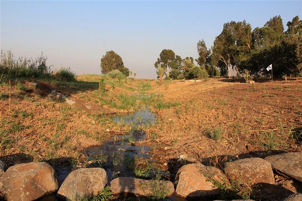 Harod river park. Photo: Yaakov Shkolnik Harod river park. Photo ...