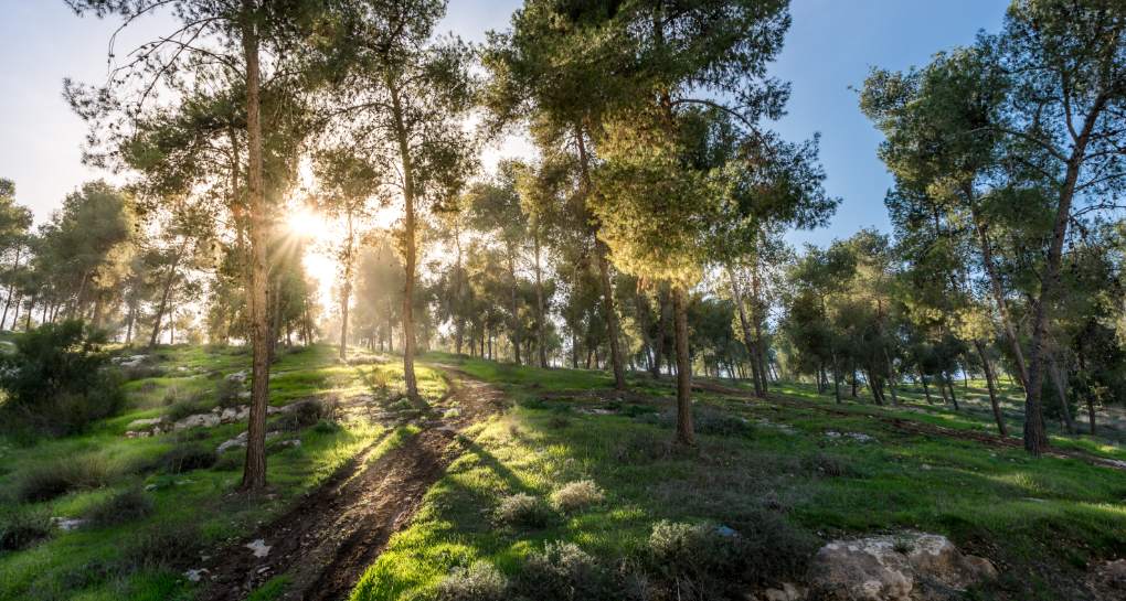 Beersheva River Park - A Transformative Park in Southern Israel - Keren ...