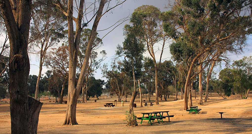 Photo: KKL-JNF Photo Archive