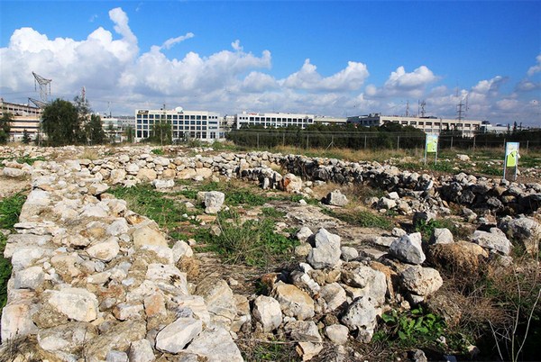 Wildflower, Rosh HaAyin forest. Photo: Yaakov Shkolnik Walking Rosh ...