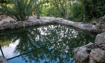 Ein Tamar in Aminadav Forest. Photo: Yaakov Shkolnik.