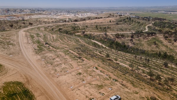 Keren Kayemeth LeIsrael - KKL-JNF - A Pearl in the Heart of the Desert