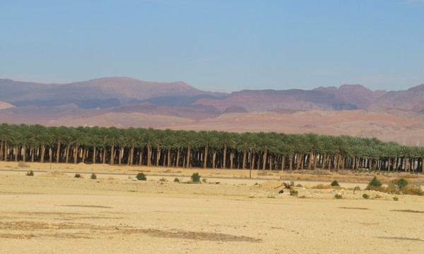 Sustainable Agriculture - Keren Kayemeth LeIsrael - KKL-JNF